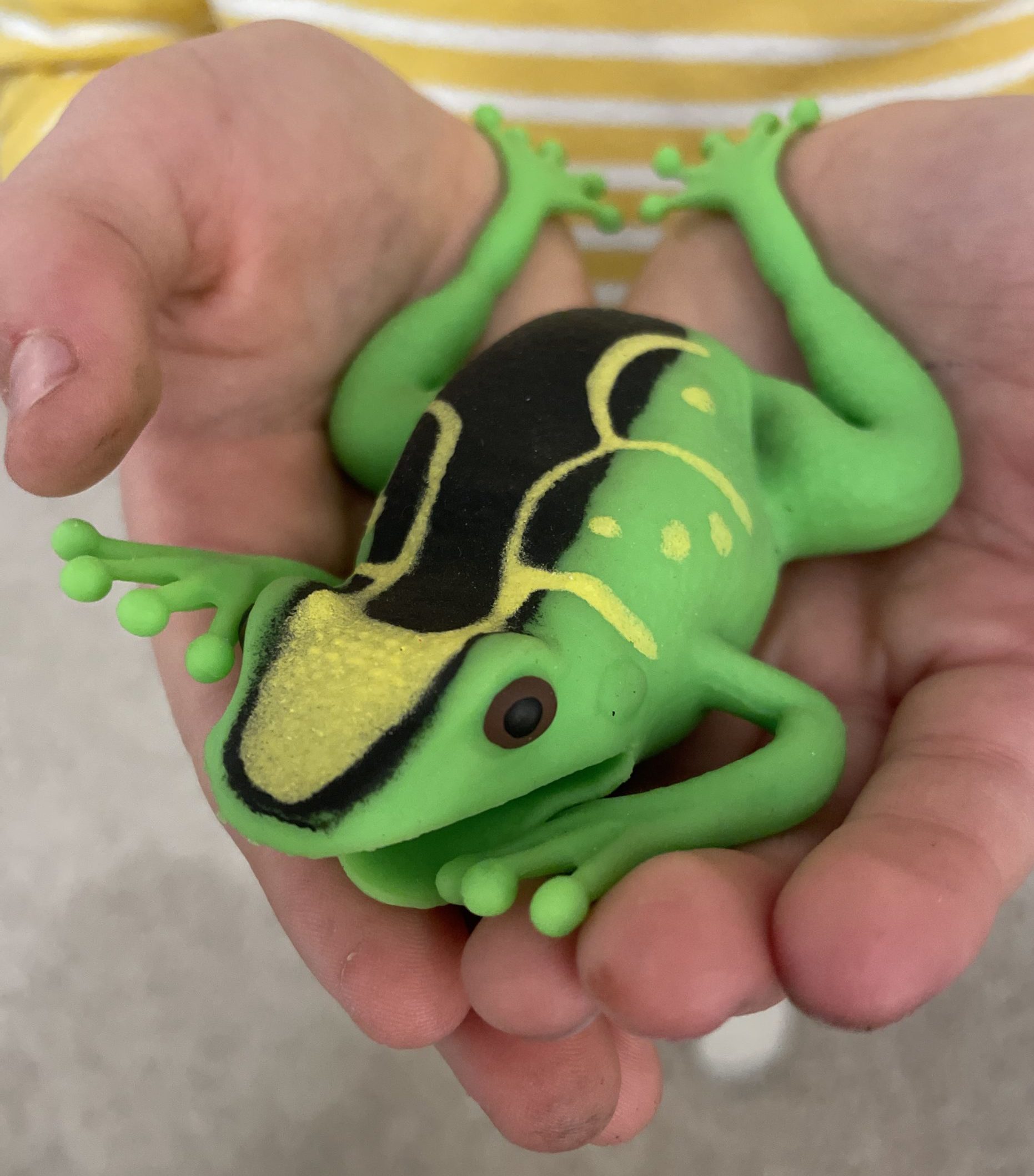 Celebrations, Frogs, and Shredded Plans - The Unlikely Agrarian